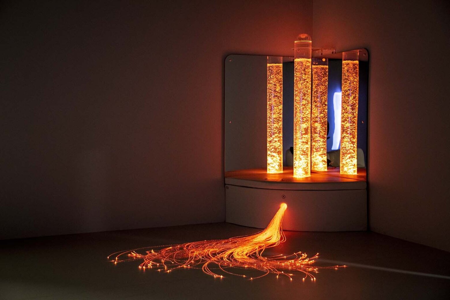 Polden Bower SEND School - AWW