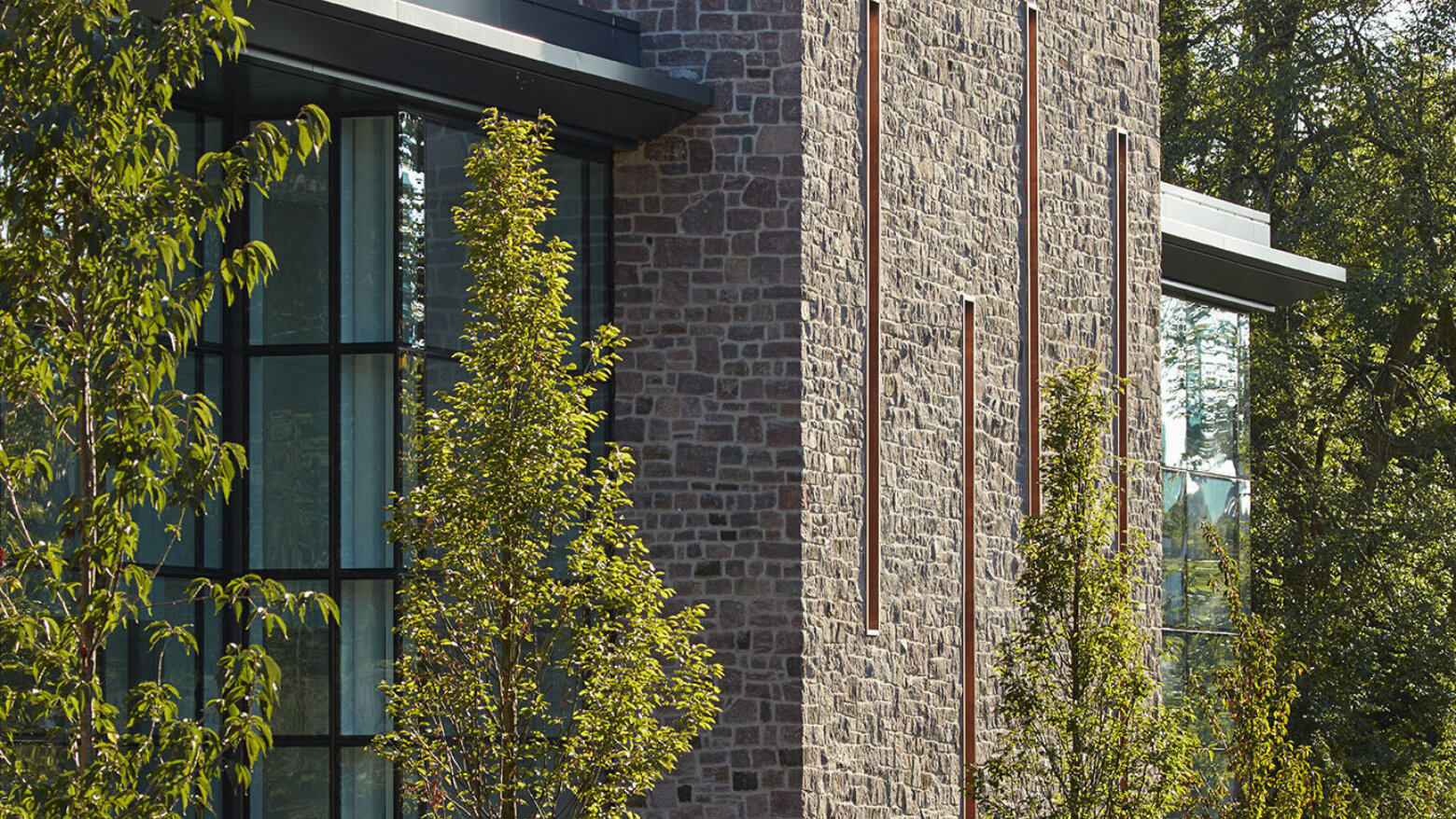 Hayesfield Girls’ School - AWW